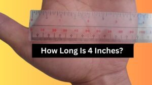 How Long Is 4 Inches? 12+ Things That Are 4 Inches Long