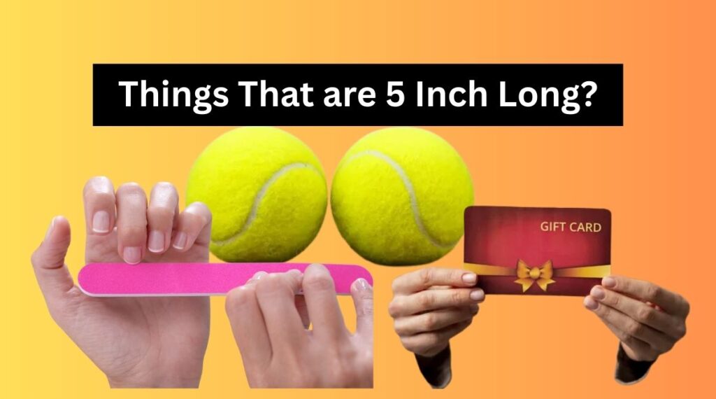 How Long Is 3 Inches? 19+ Common Things That Are 3 Inches