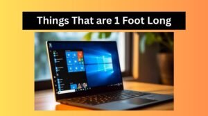 12 + Fascinating Things That are 1 Foot Long (2026)