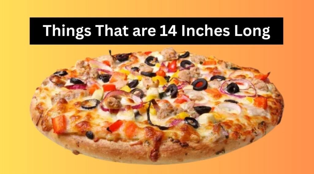 14+ Fascinating Things That Are 14 Inches Long 2026
