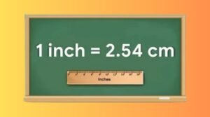 How Long is 1 Inch? 17+ Things That Are Exactly 1 Inch Long
