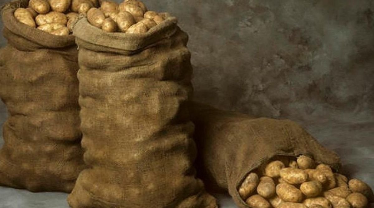 What Weighs 100kg? 12 Most Common Things That Weigh 100kg