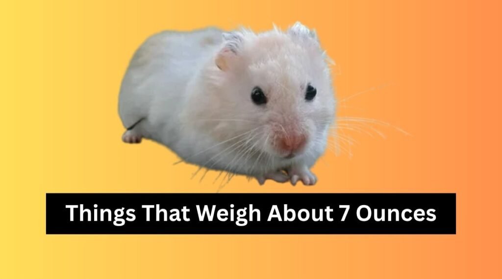 How Much Is 100 Grams? 13 Common Things That Weigh 100 g