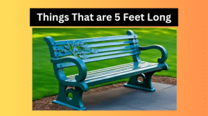 15+ Common Things That are 5 Feet Long 2026