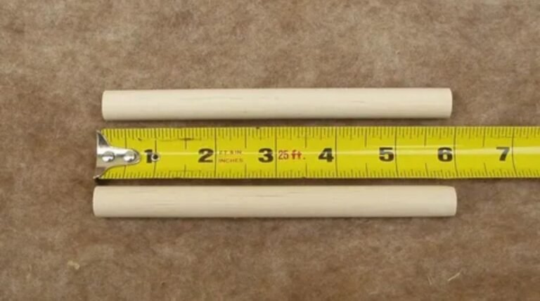 10+ Shocking Things that are 6 Inches Long (With Pictures)