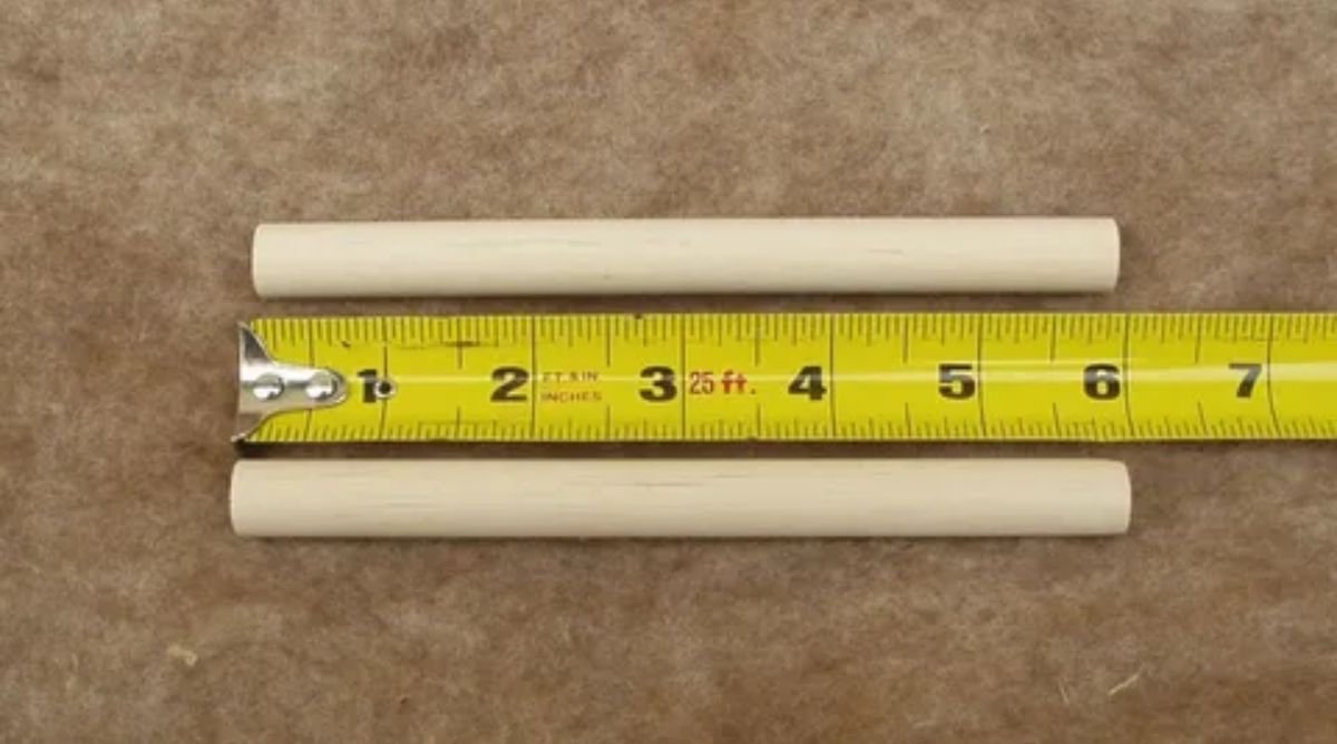 10+ Shocking Things that are 6 Inches Long (With Pictures)