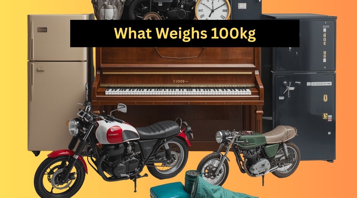 What Weighs 100kg? 12 Most Common Things That Weigh 100kg