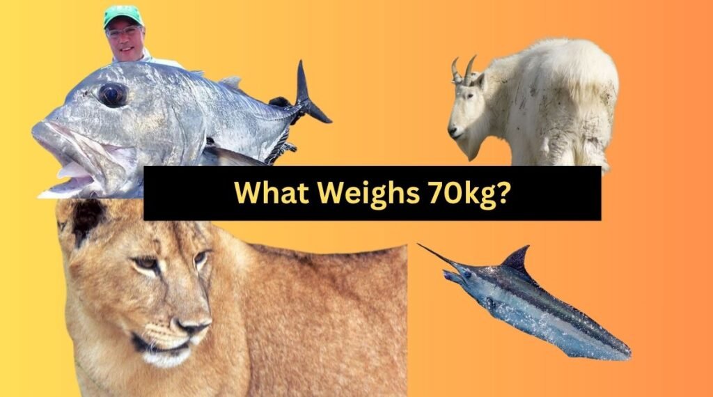 How Much Is 100 Grams? 13 Common Things That Weigh 100 g